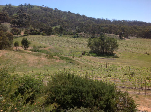 Pyrenees Wine Region (VIC) Part 1